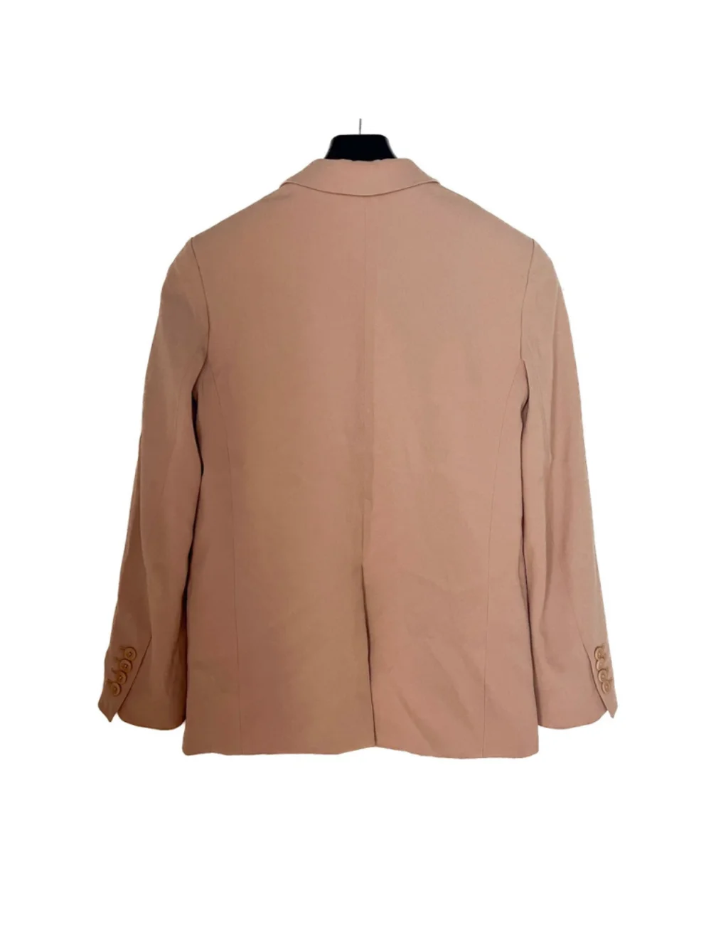 Babaton | Jackets & Coats | Aritzia Babaton Singlebreasted Blazer Tan ...